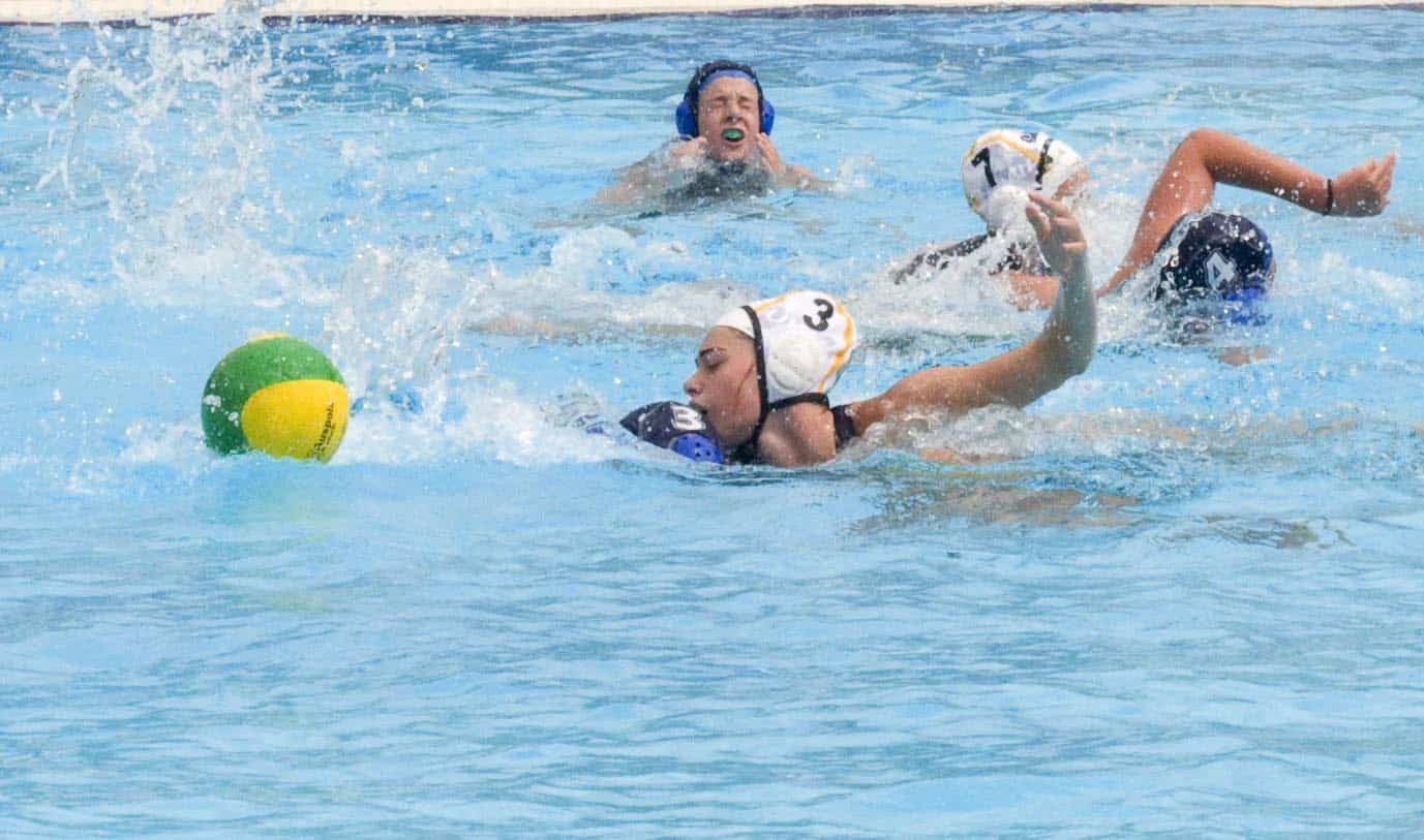 Honour Boards - UWA Water Polo Club